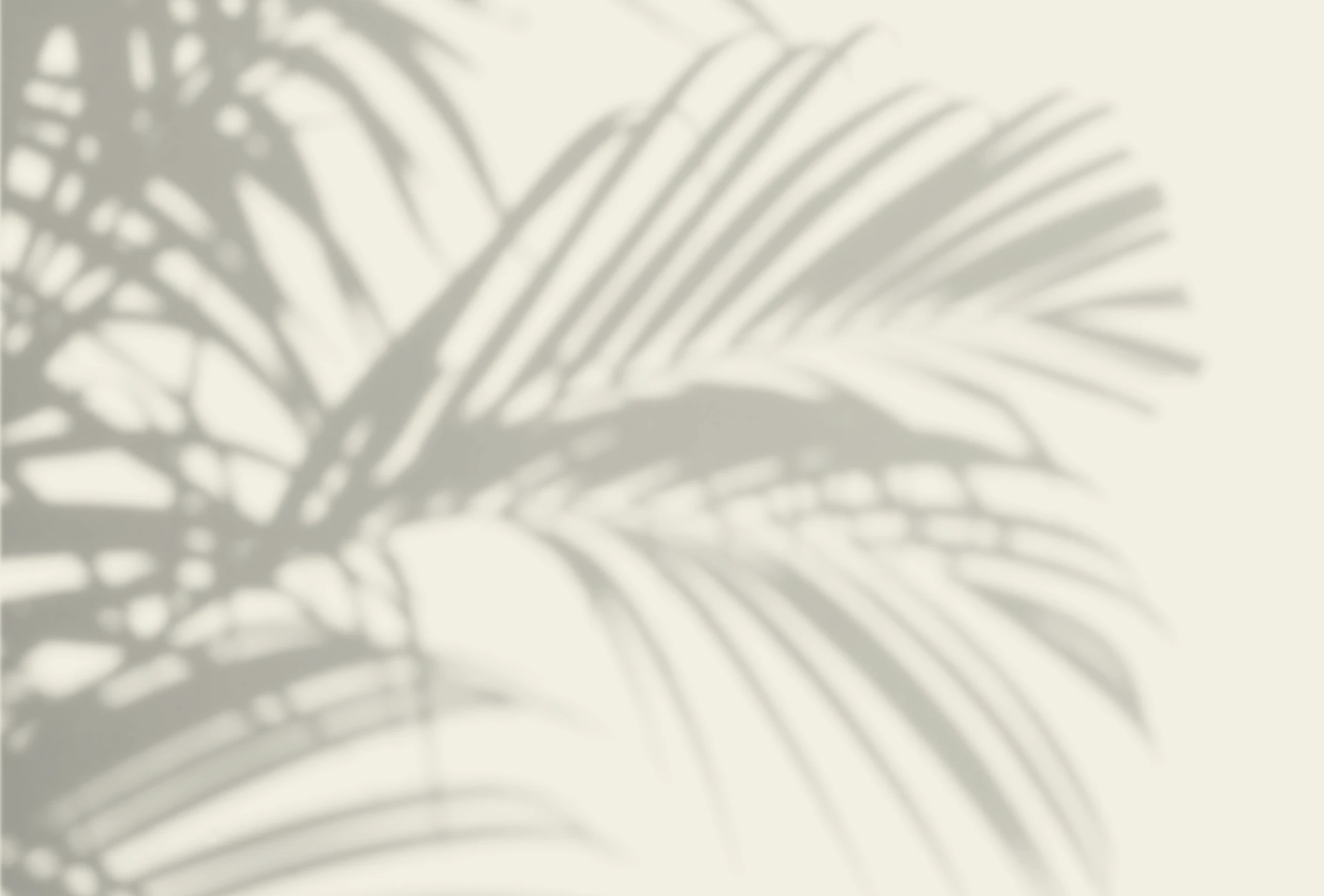 Special Offers - MICE Luxembourg